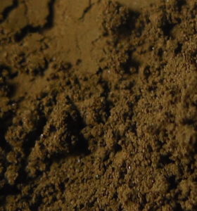 Green Umber – Ancient Earth Pigments