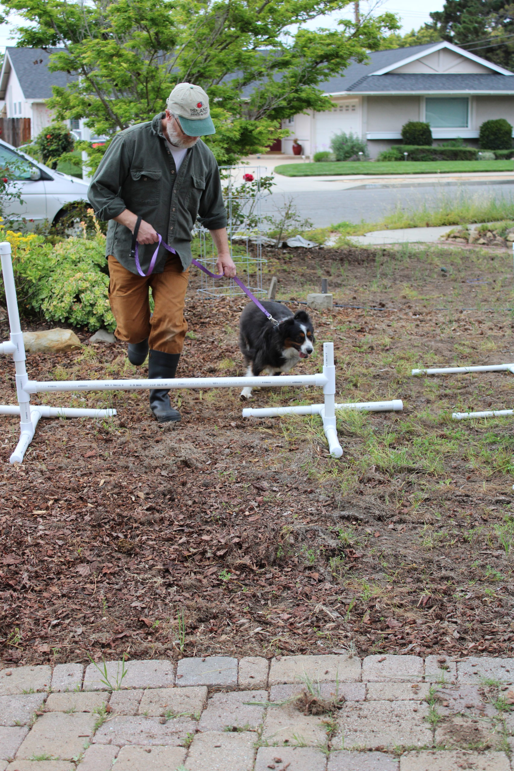 Old Dog, New Tricks – Ancient Earth Pigments