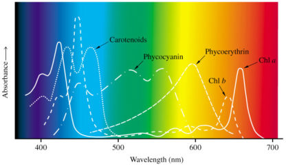 The Science of Pigments – Ancient Earth Pigments